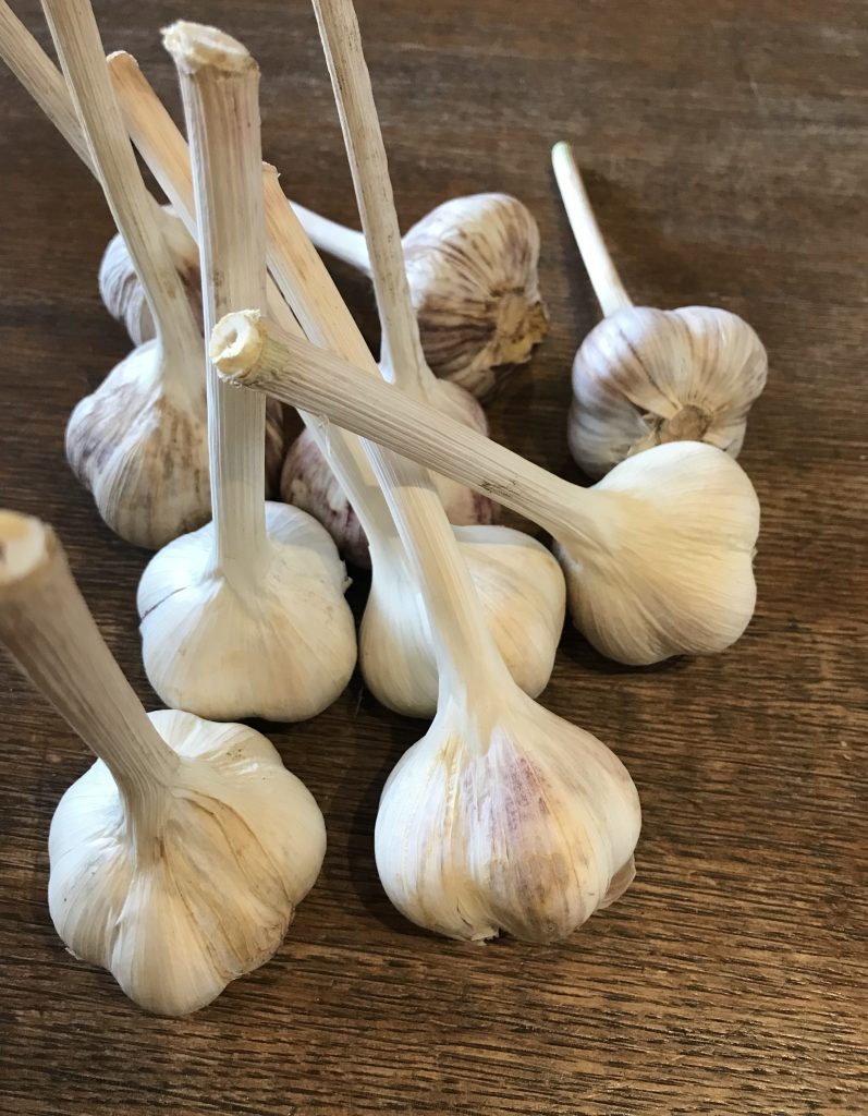 Boutique - Ail - livraison au Québec pour 15$ - Bleuetière et verger ...